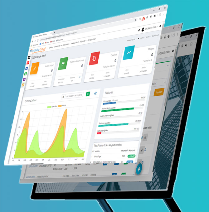 Mobility Cloud - ERP and CRM Cloud for Sales and Distribution, Africa for VSE, SME and ...